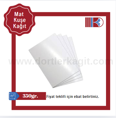 350gr. kuşe kağıt